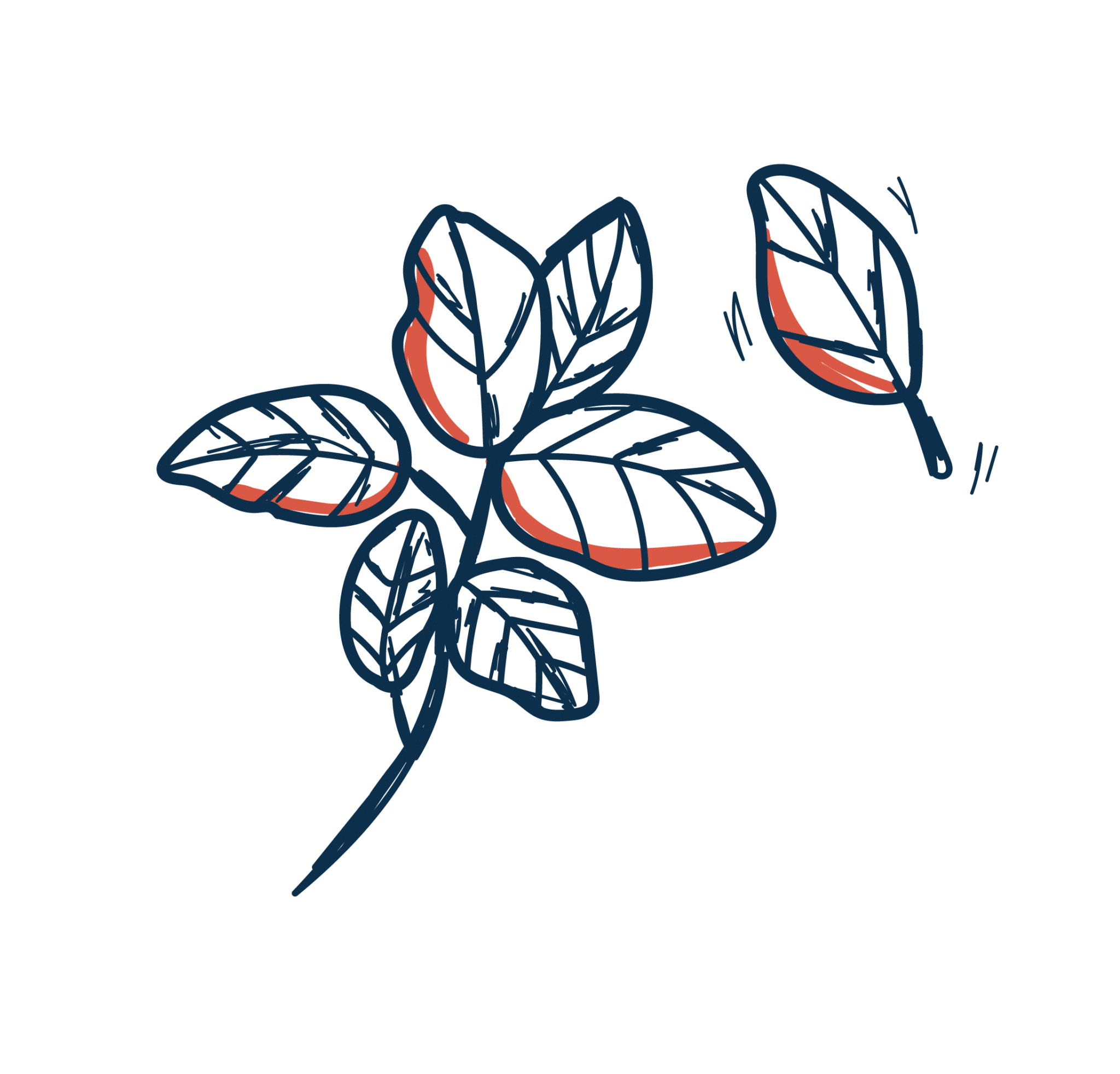 Enjoy Italian Food at Vici South Bank | Pizza & Pasta Brisbane